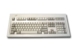 NEW 122-Key Keyboard for IBM InfoWindow Twinax Terminals - Twin Data ...
